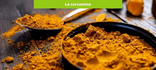 Découvrez les propriétés et bienfaits de la curcumine - Effinov Nutrition
