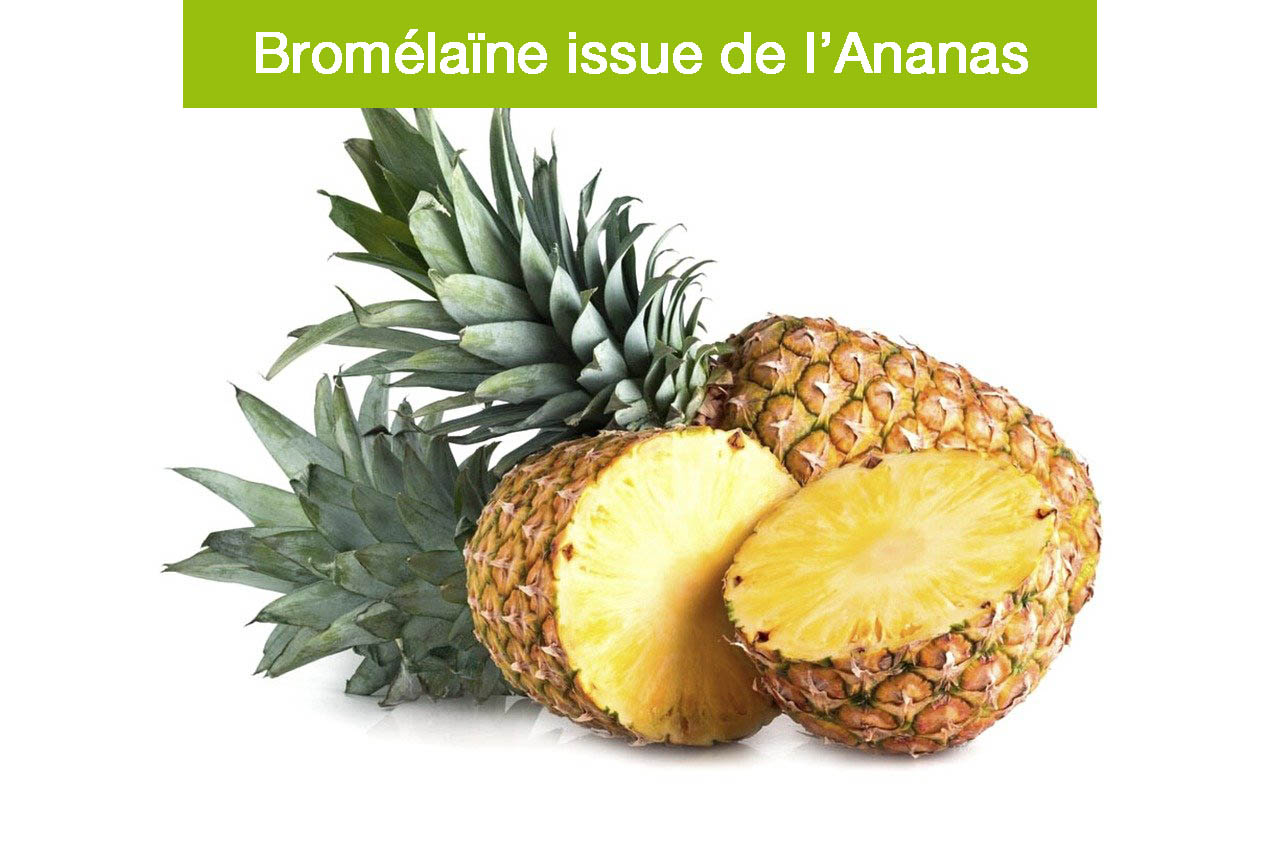 BROMELAINE : Ses bienfaits et vertus pour la santé ! - Effinov Nutrition