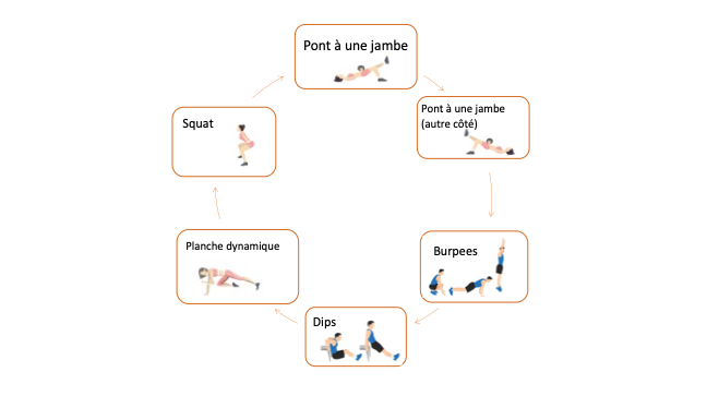 Programme sportif perte de poids : Sport et Alimentation le combo ...